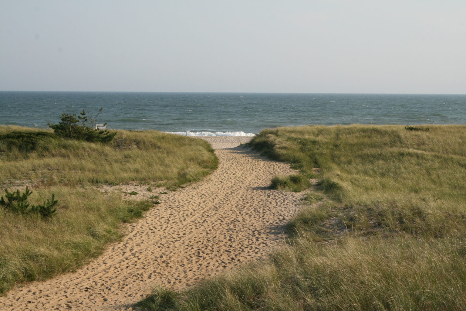 Explore Nantucket Bike Paths & Our Self Guided Bike Tours